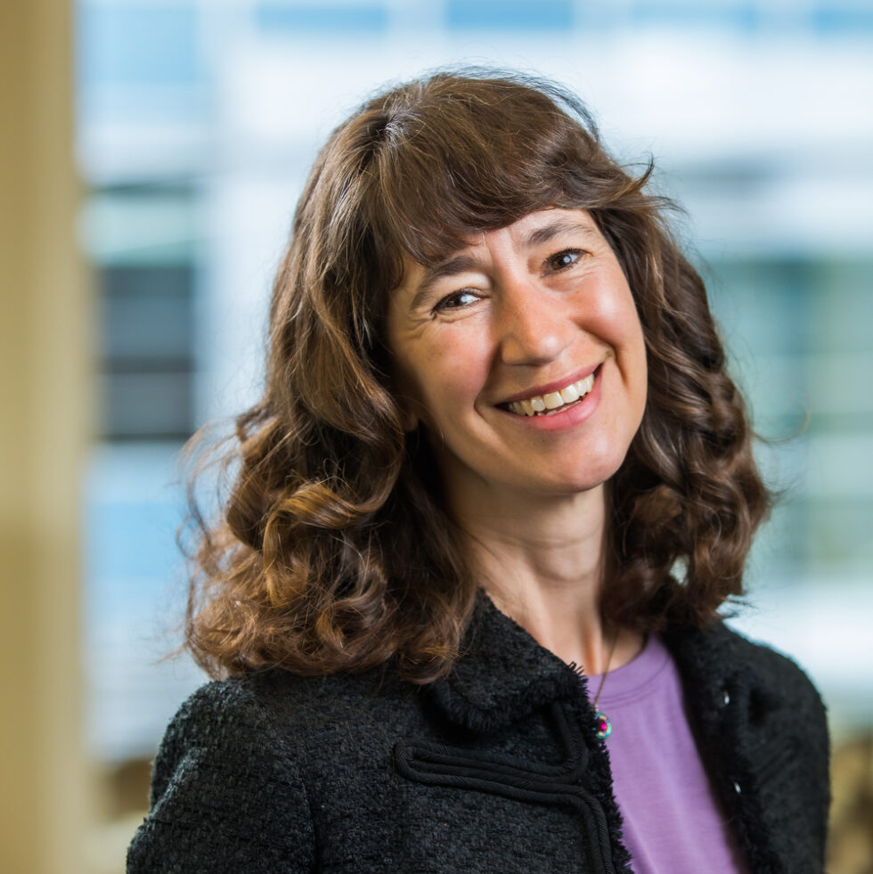 Who We Are - Companis